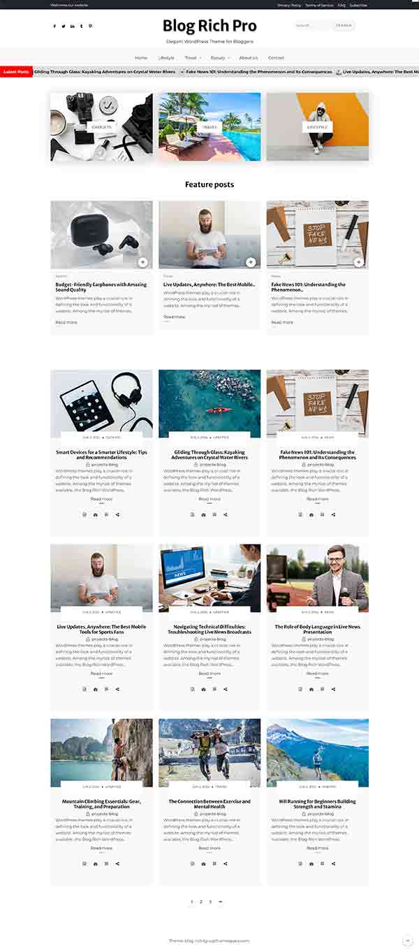 Blog Rich - Wp Theme Space