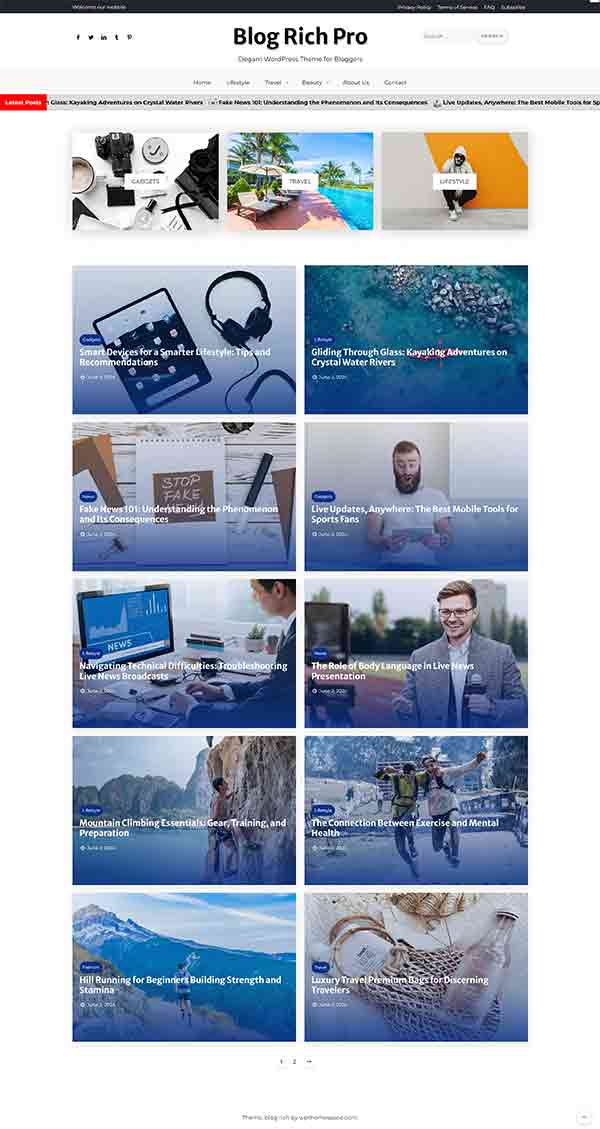 Blog Rich - Wp Theme Space