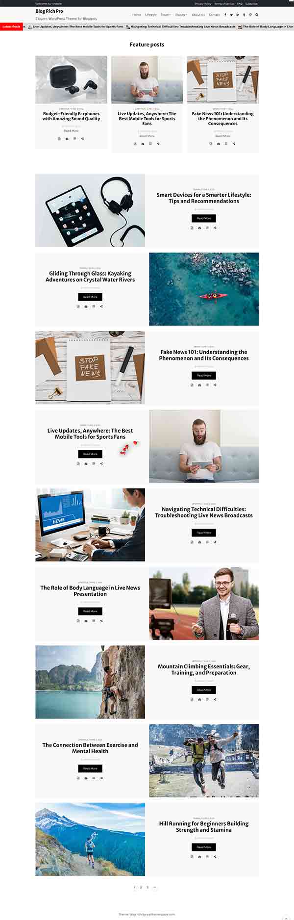 Blog Rich Pro - Wp Theme Space